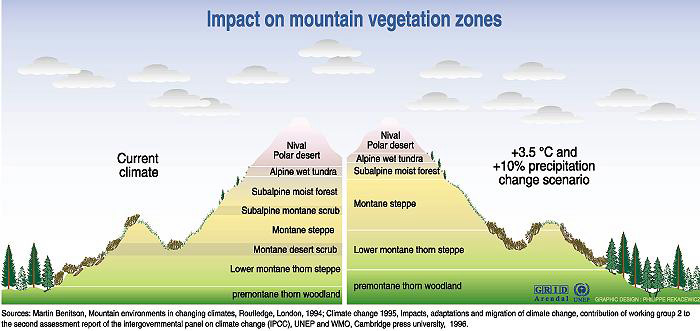Vegetation and climate – UMBRELLA